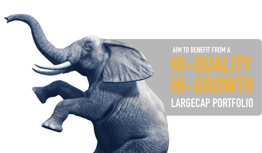 Motilal Oswal Large Cap Fund: High Quality High Growth